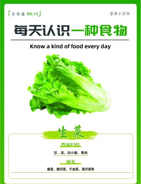 最有营养的蔬菜之王是什么_怎么吃最健康-第1张图片-山城妙识 最有营养的蔬菜之王是什么_怎么吃最健康-第1张图片-山城妙识