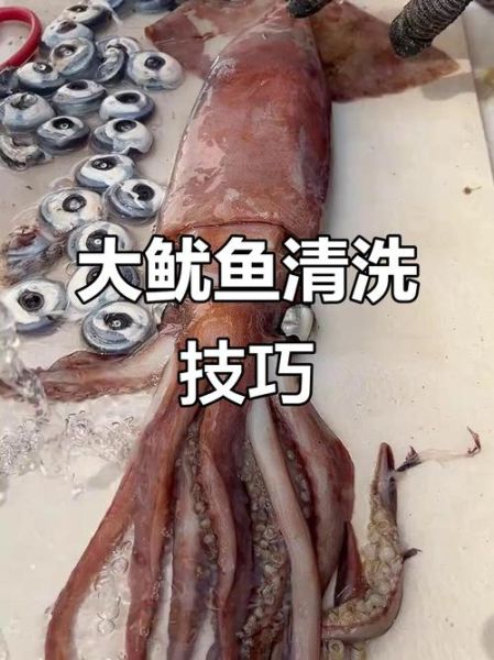 鱿鱼怎么处理内脏_鱿鱼内脏清理步骤-第2张图片-山城妙识 鱿鱼怎么处理内脏_鱿鱼内脏清理步骤-第2张图片-山城妙识
