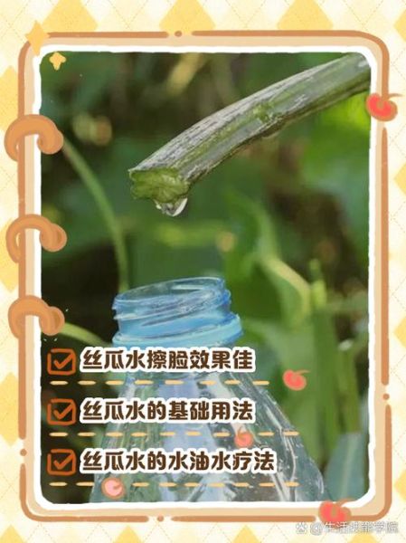 丝瓜水用了脸变黑_丝瓜水会不会越用越黑-第1张图片-山城妙识