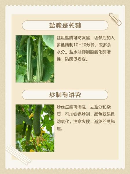 丝瓜水用了脸变黑_丝瓜水会不会越用越黑-第2张图片-山城妙识