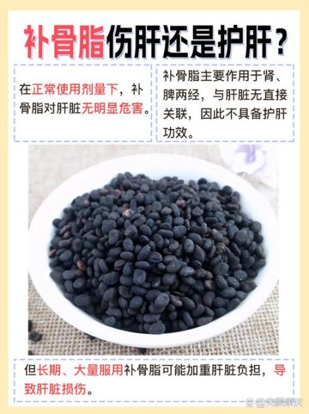 补骨脂的功效与作用_补骨脂的副作用有哪些-第3张图片-山城妙识