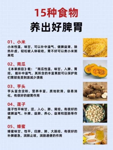 健脾食物有哪些_脾虚吃什么食物好得快-第2张图片-山城妙识