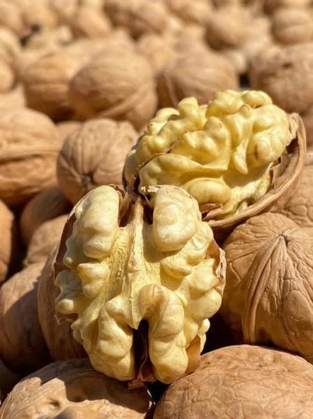 新疆核桃多少钱一斤_新疆核桃怎么挑选-第1张图片-山城妙识 新疆核桃多少钱一斤_新疆核桃怎么挑选-第1张图片-山城妙识