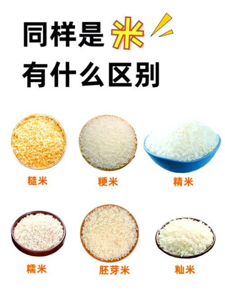 粳米图片大全_粳米和籼米区别是什么-第1张图片-山城妙识