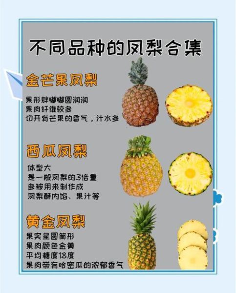 凤梨和菠萝哪个好吃_凤梨好吃还是菠萝好吃-第1张图片-山城妙识