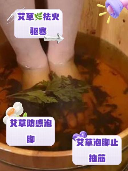 艾草泡脚的功效与作用禁忌_孕妇能用吗-第2张图片-山城妙识