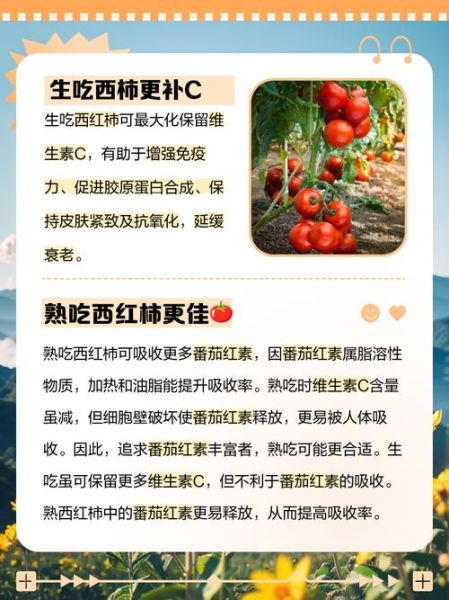 西红柿怎么挑选_西红柿生吃还是熟吃好-第2张图片-山城妙识 西红柿怎么挑选_西红柿生吃还是熟吃好-第2张图片-山城妙识