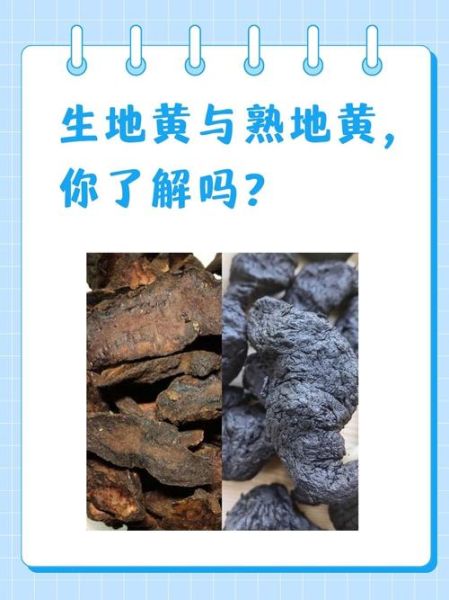 生地和熟地的区别_生地和熟地的功效一样吗-第1张图片-山城妙识 生地和熟地的区别_生地和熟地的功效一样吗-第1张图片-山城妙识