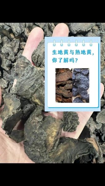 生地和熟地的区别_生地和熟地的功效一样吗-第3张图片-山城妙识 生地和熟地的区别_生地和熟地的功效一样吗-第3张图片-山城妙识