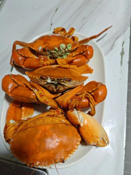 青蟹怎么蒸才鲜嫩_青蟹清蒸几分钟最好-第1张图片-山城妙识