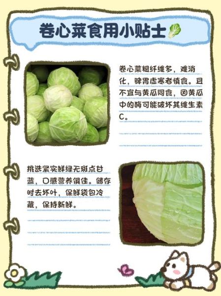 圆白菜和卷心菜一样吗_区别与营养价值-第3张图片-山城妙识 圆白菜和卷心菜一样吗_区别与营养价值-第3张图片-山城妙识