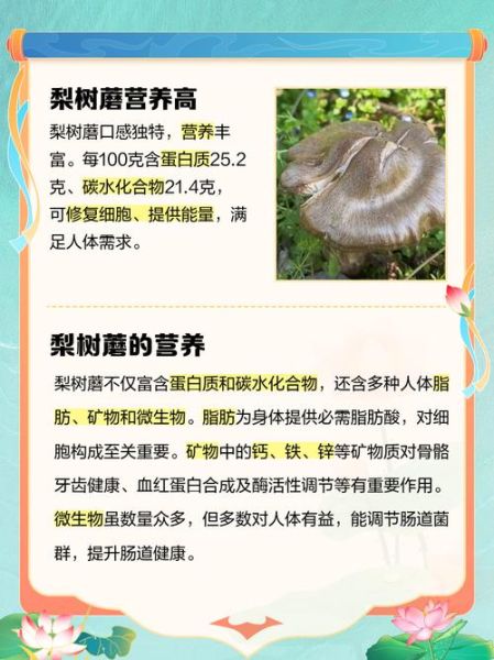 梨菇是什么_梨菇的功效与作用-第2张图片-山城妙识