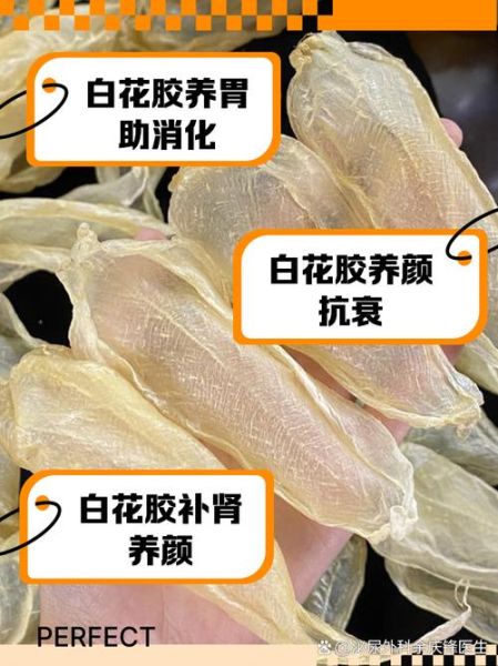 花胶是什么东西_花胶的功效与作用-第2张图片-山城妙识