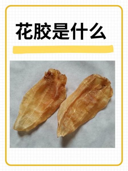 花胶是什么东西_花胶的功效与作用-第1张图片-山城妙识