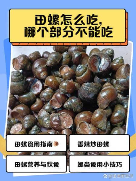 田螺吃鱼粪便吗_田螺会不会吃鱼的排泄物-第1张图片-山城妙识