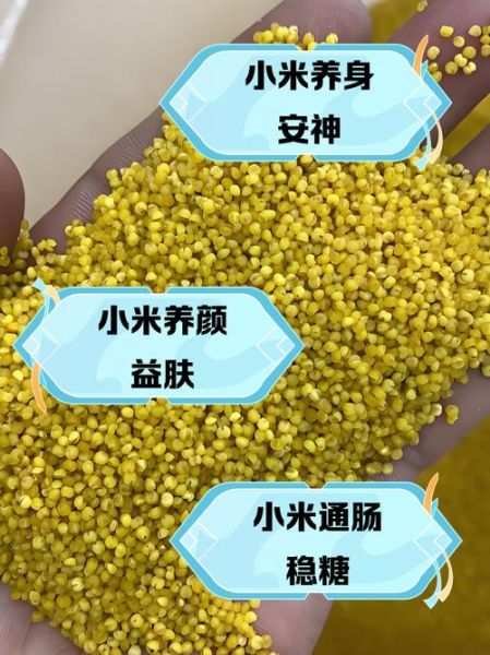 小米的禁忌有哪些_小米的副作用是什么-第3张图片-山城妙识