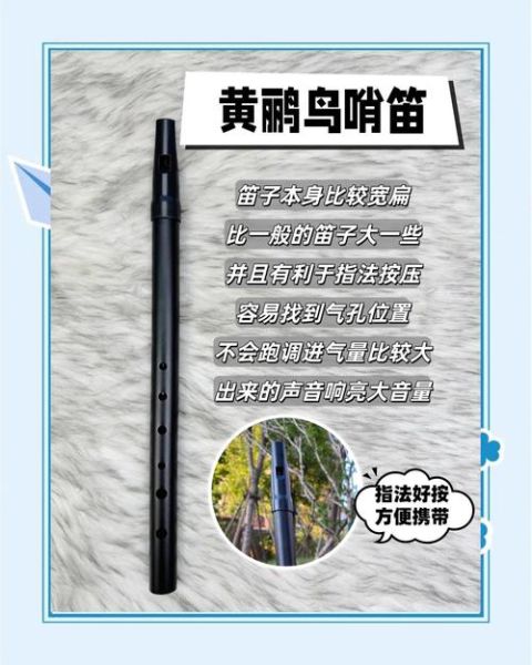 哨子怎么吹_哨子选购指南-第2张图片-山城妙识 哨子怎么吹_哨子选购指南-第2张图片-山城妙识