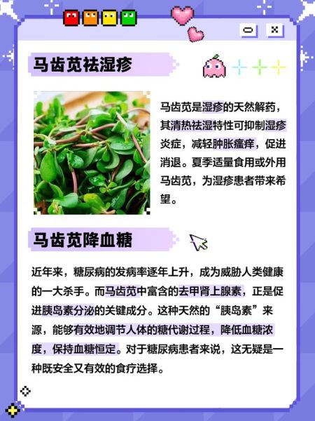 马齿苋怎么吃不伤脾胃_马齿苋寒性怎么中和-第2张图片-山城妙识