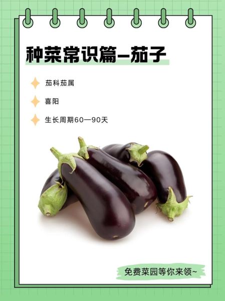 茄子能降三高吗_茄子禁忌人群有哪些-第3张图片-山城妙识 茄子能降三高吗_茄子禁忌人群有哪些-第3张图片-山城妙识