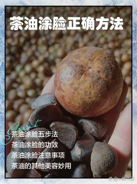 茶油涂脸会堵塞毛孔吗_茶油护肤正确用法-第2张图片-山城妙识 茶油涂脸会堵塞毛孔吗_茶油护肤正确用法-第2张图片-山城妙识