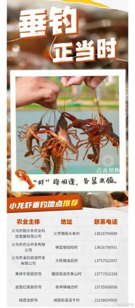 小龙虾养殖利润怎么样_每亩能赚多少钱-第3张图片-山城妙识 小龙虾养殖利润怎么样_每亩能赚多少钱-第3张图片-山城妙识