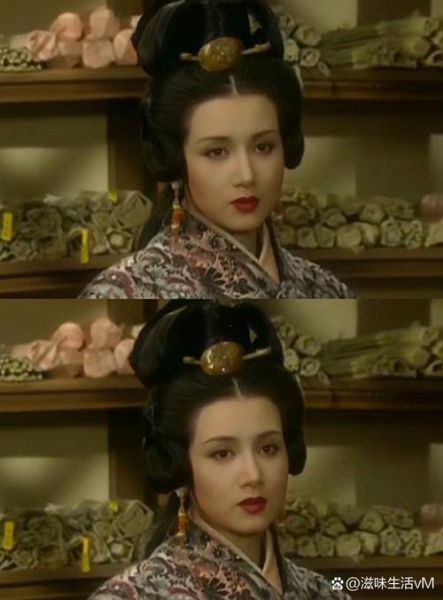 火烧阿房宫电视剧历史真相_为何引发争议-第2张图片-山城妙识