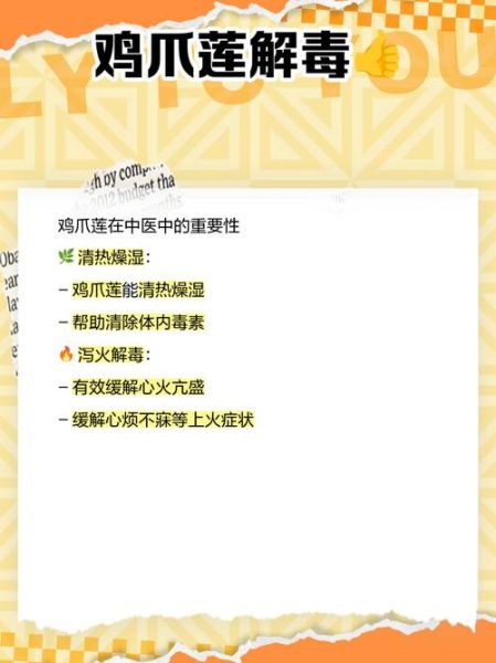 鸡爪子草药的功效与作用_鸡爪子草药怎么吃-第2张图片-山城妙识