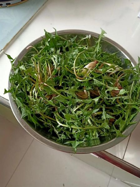 农村野菜有哪些_农村野菜怎么吃-第2张图片-山城妙识 农村野菜有哪些_农村野菜怎么吃-第2张图片-山城妙识