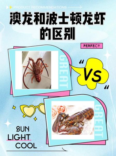 澳龙图片大全图解_澳龙和波士顿龙虾区别-第1张图片-山城妙识