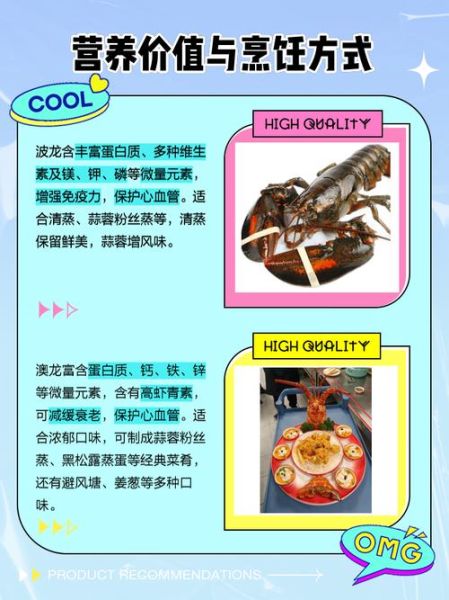 澳龙图片大全图解_澳龙和波士顿龙虾区别-第3张图片-山城妙识