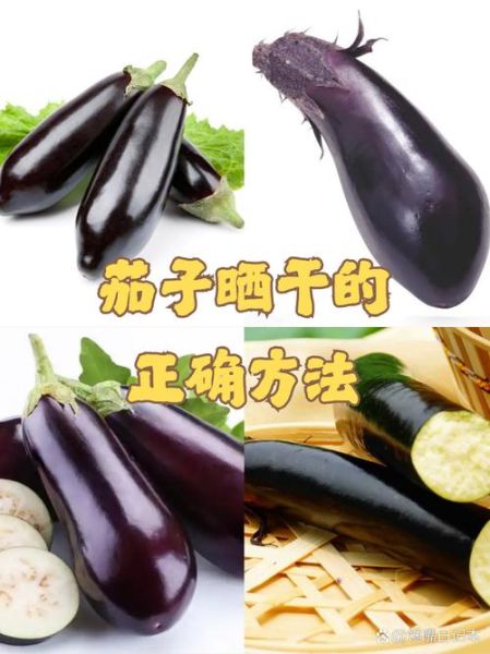 茄子干怎么晒_茄子干家常做法大全-第3张图片-山城妙识