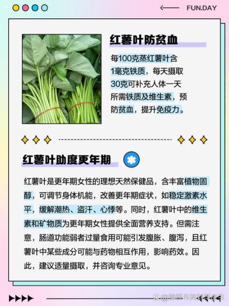 红薯叶的功效与作用_红薯叶的副作用有哪些-第2张图片-山城妙识 红薯叶的功效与作用_红薯叶的副作用有哪些-第2张图片-山城妙识