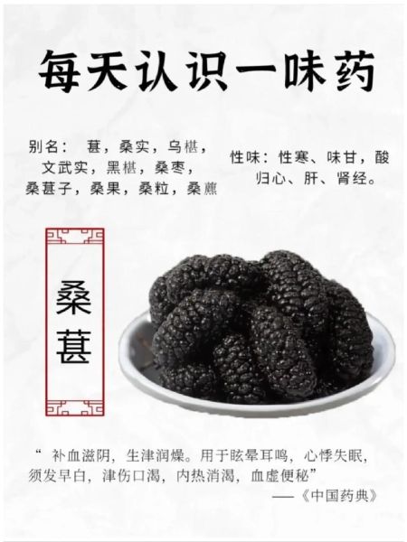 桑葚干有什么功效_桑葚干一天吃多少合适-第3张图片-山城妙识