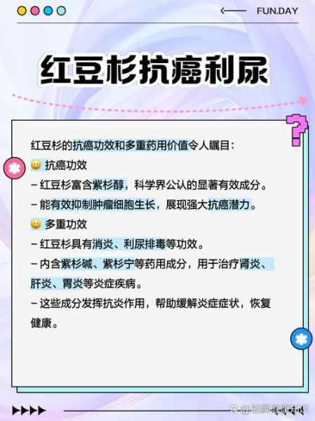 红豆杉怎么吃抗癌_红豆杉抗癌吃法大全-第3张图片-山城妙识