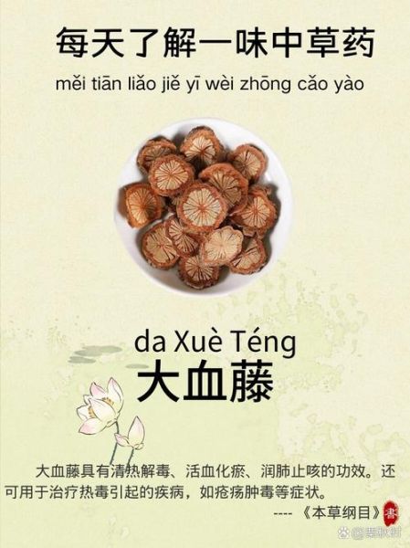 小血藤和大血藤的区别_哪个更好用-第2张图片-山城妙识