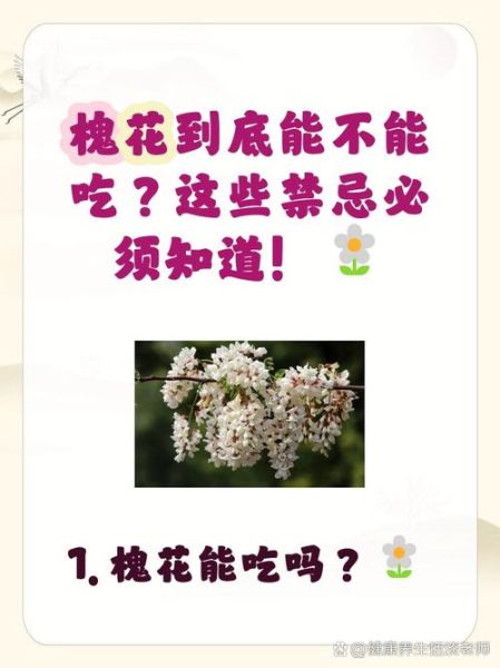 槐花什么人不能吃_槐花食用禁忌有哪些-第3张图片-山城妙识