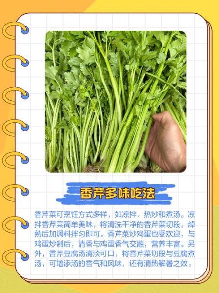 香芹菜怎么种_香芹菜的功效与作用-第1张图片-山城妙识
