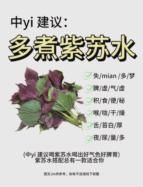 紫苏叶怎么吃最好_紫苏叶怎么吃最营养-第1张图片-山城妙识