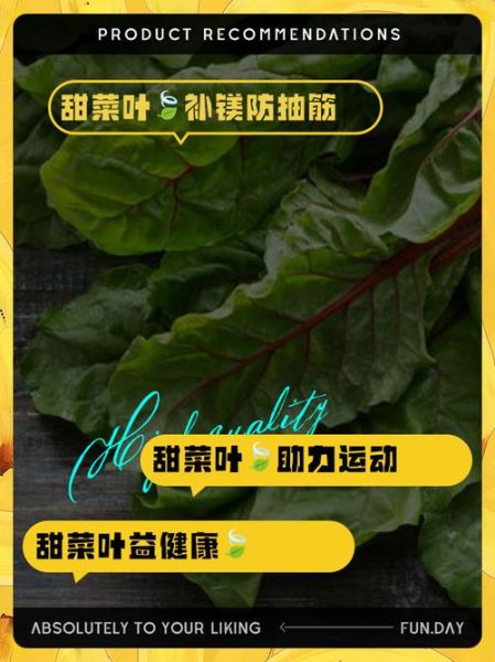 南方甜菜叶图片_甜菜叶怎么吃-第1张图片-山城妙识