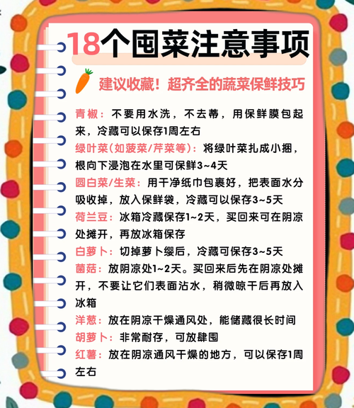 蔬菜怎么保存时间长_蔬菜保鲜技巧有哪些-第1张图片-山城妙识