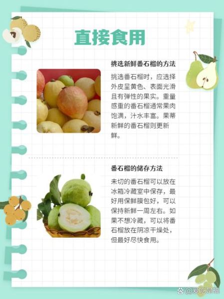 番石榴上火吗_番石榴吃多了会上火吗-第1张图片-山城妙识 番石榴上火吗_番石榴吃多了会上火吗-第1张图片-山城妙识