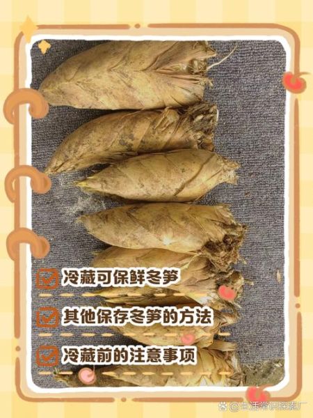 新鲜冬笋怎么保存_冬笋可以放多久-第1张图片-山城妙识