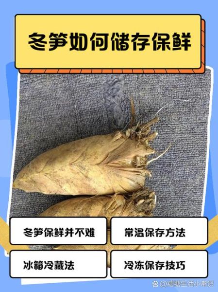 新鲜冬笋怎么保存_冬笋可以放多久-第3张图片-山城妙识