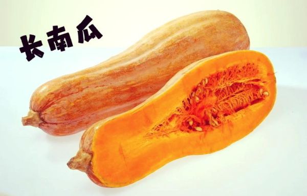 南瓜和方瓜是一个东西吗_区别与联系全解析-第3张图片-山城妙识 南瓜和方瓜是一个东西吗_区别与联系全解析-第3张图片-山城妙识