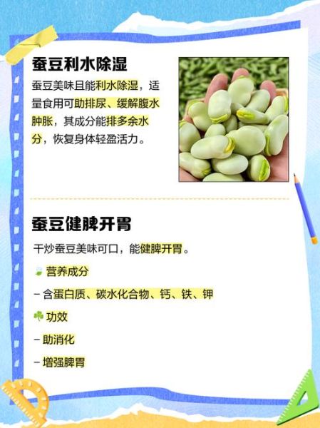 干蚕豆泡多久能煮_干蚕豆泡后怎么做好吃-第1张图片-山城妙识 干蚕豆泡多久能煮_干蚕豆泡后怎么做好吃-第1张图片-山城妙识