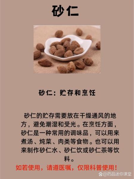 砂仁长什么样_砂仁高清图片怎么辨别真假-第3张图片-山城妙识