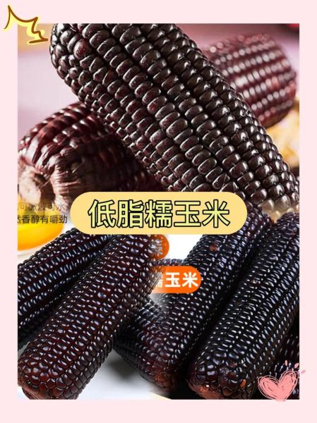 黑玉米骗局是真的吗_如何辨别黑玉米真假-第3张图片-山城妙识 黑玉米骗局是真的吗_如何辨别黑玉米真假-第3张图片-山城妙识