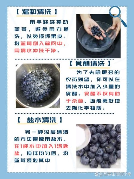 蓝莓怎么洗_蓝莓怎么吃-第1张图片-山城妙识