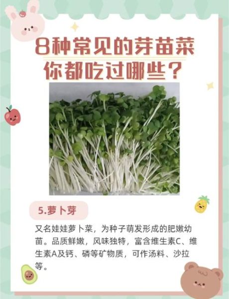 芽苗菜怎么种_芽苗菜的营养价值-第1张图片-山城妙识 芽苗菜怎么种_芽苗菜的营养价值-第1张图片-山城妙识