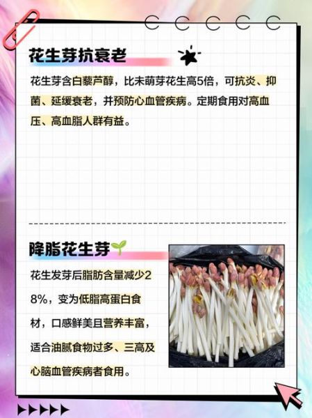 芽苗菜怎么种_芽苗菜的营养价值-第2张图片-山城妙识 芽苗菜怎么种_芽苗菜的营养价值-第2张图片-山城妙识